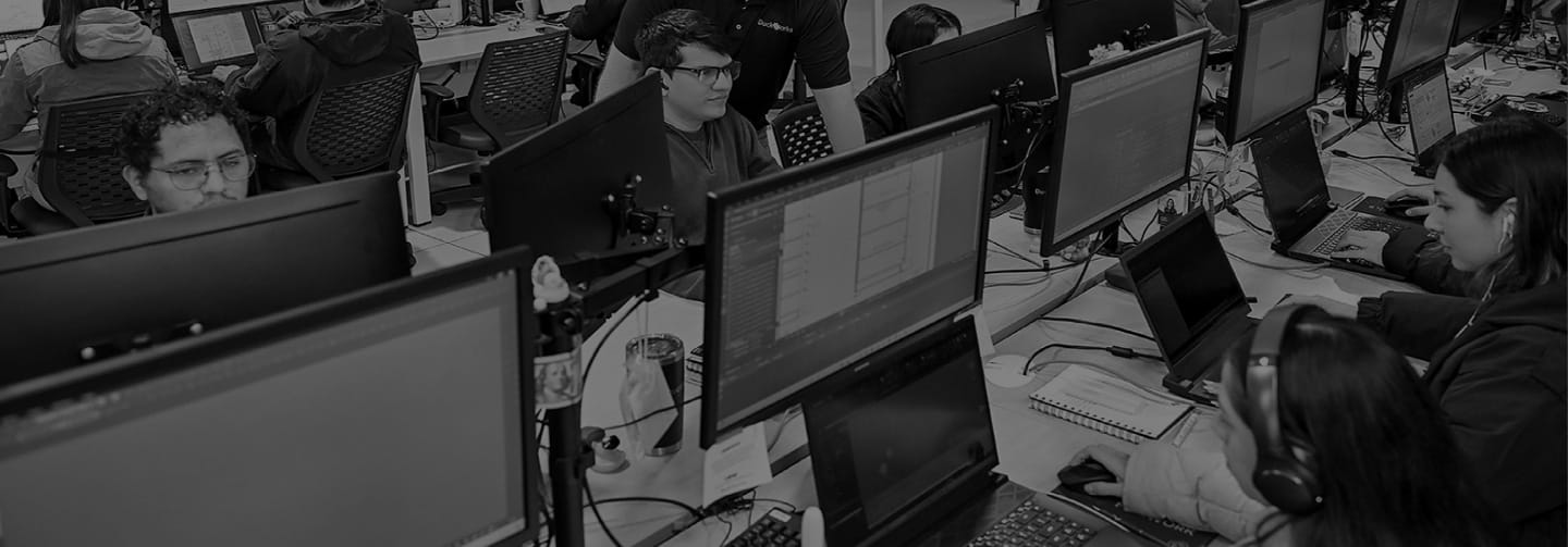 About - DuckWorks