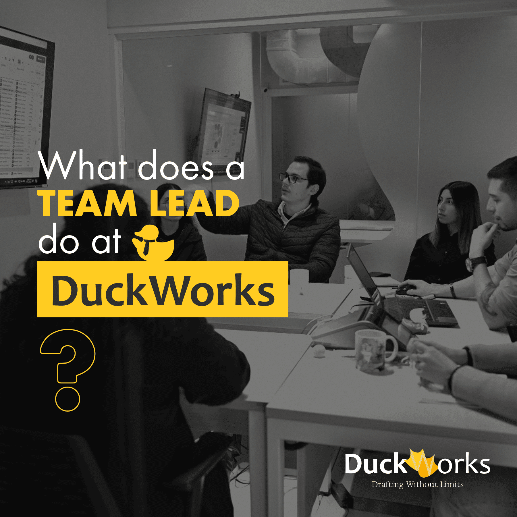 What Does a Duckworks Team Leader Do? - DuckWorks